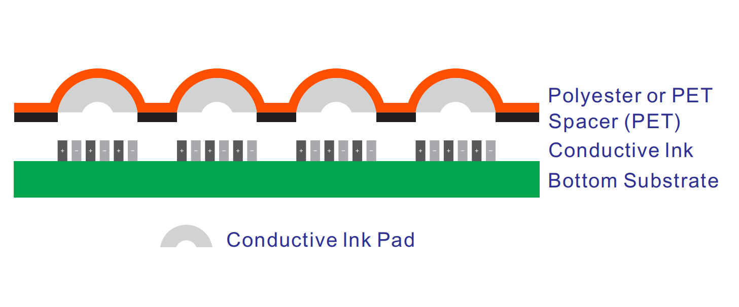 What is a Polydome membrane switch?
